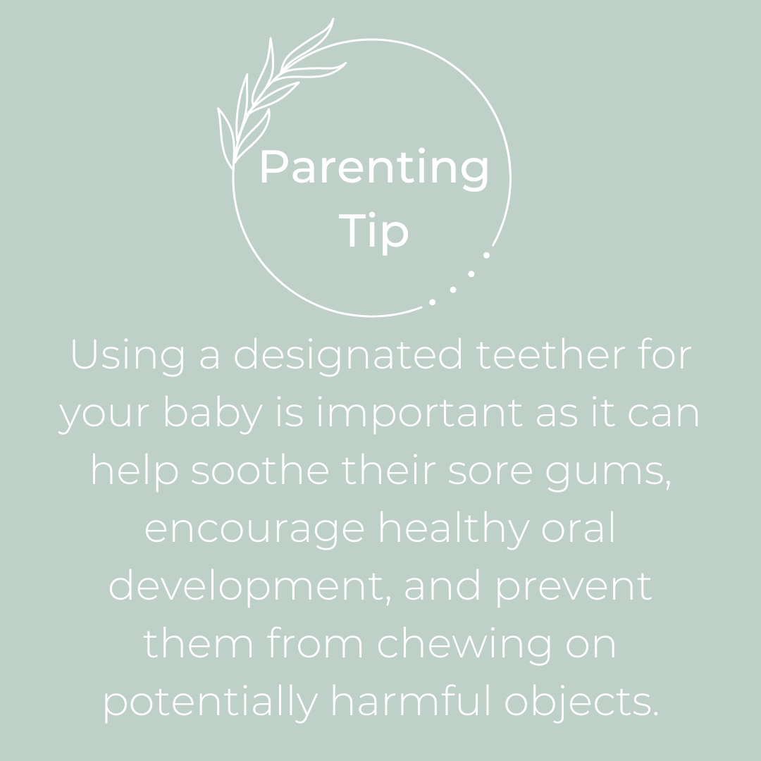 The Importance of Using Designated Teethers for Your Baby | Tiny Teethers